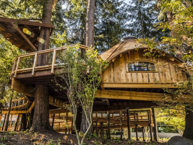 microsoft creates treehouse offices - Guide4info